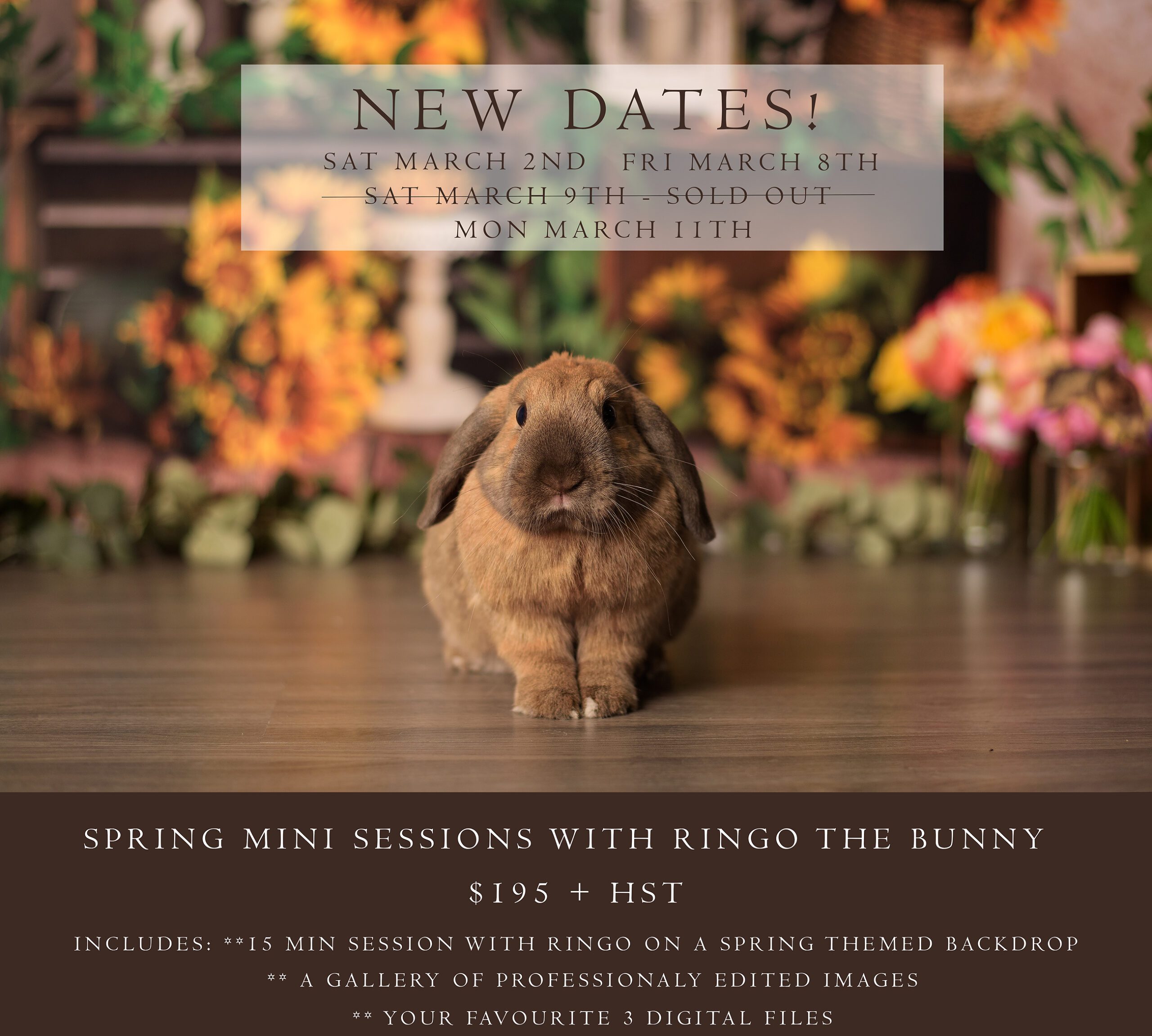 Spring Sessions 2024 - Little Rosebuds Photography